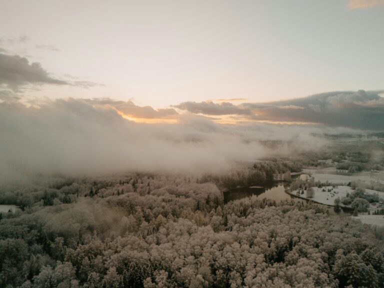 The Jumble: January 8, 2025 | Capitol Hill Style